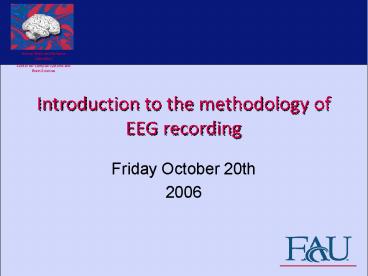 Introduction to the methodology of EEG recording presentation | free to ...