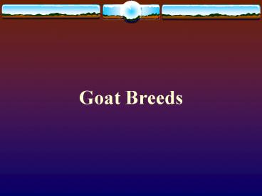 PPT – Goat Breeds PowerPoint presentation | free to view - id: 3f10f3-N2M3Z