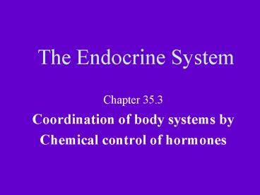 PPT – The Endocrine System PowerPoint presentation | free to view - id ...