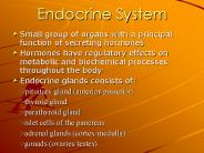 PPT – THE ENDOCRINE SYSTEM PowerPoint presentation | free to download ...
