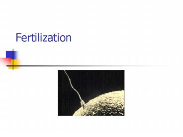 Fertilization presentation | free to download