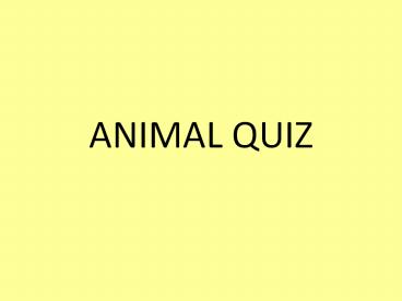 ANIMAL QUIZ presentation | free to download