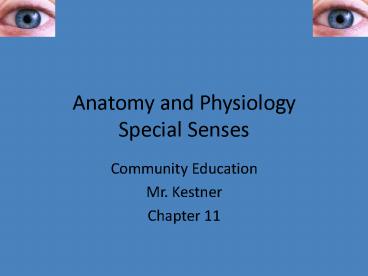 Anatomy and Physiology Special Senses presentation | free to view