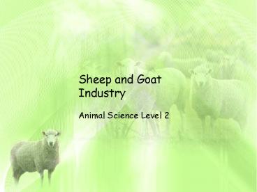 Sheep and Goat Industry presentation | free to download