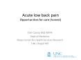 PPT – Acute Low Back Pain PowerPoint presentation | free to view - id ...