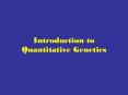 PPT – Introduction to Genetics PowerPoint presentation | free to view ...