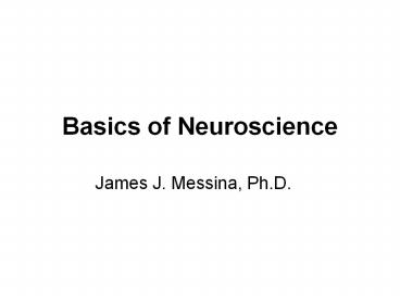 Basics of Neuroscience presentation | free to download