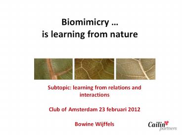Biomimicry presentation | free to download