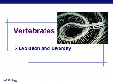 Vertebrates presentation | free to download