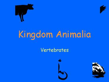 PPT – Kingdom Animalia PowerPoint presentation | free to view - id ...