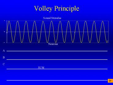 Volley Principle presentation | free to download