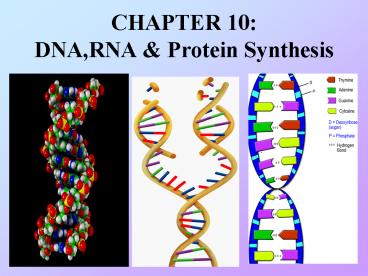 CHAPTER 10: DNA,RNA presentation | free to view