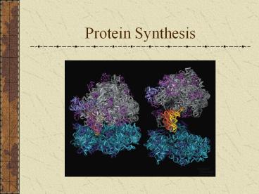 Protein Synthesis presentation | free to download