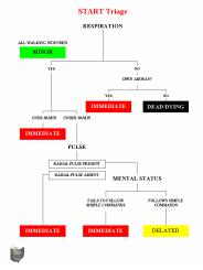PPT – TRIAGE PowerPoint presentation | free to download - id: 7fa16c-Y2UwN