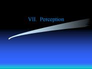 PPT – La Perception PowerPoint presentation | free to download - id ...