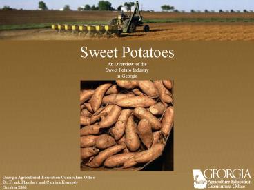 Sweet Potatoes An Overview of the Sweet Potato Industry in Georgia ...