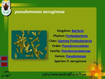 pseudomonas aeruginosa ??????????? ????????? presentation | free to view