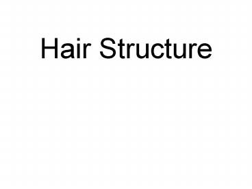 Hair Structure presentation | free to view