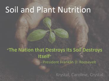 Soil and Plant Nutrition presentation | free to view