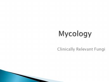PPT – Mycology PowerPoint presentation | free to download - id: 40d749 ...
