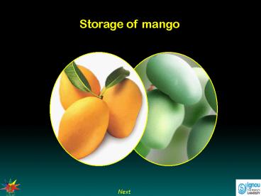 PPT – Next PowerPoint presentation | free to download - id: 40dcac-OGJiZ