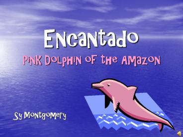 Encantado Pink Dolphin of the Amazon presentation | free to view