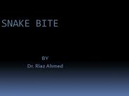 PPT – SNAKE BITE PowerPoint presentation | free to download - id: 430281-ODhkN