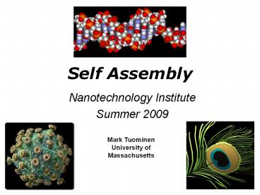 Self Assembly presentation | free to download