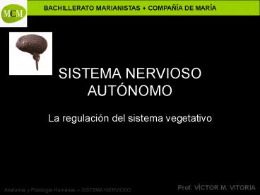 SISTEMA NERVIOSO AUT presentation | free to download