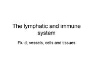 PPT – Lymphatic System PowerPoint presentation | free to view - id ...