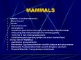 PPT – Mammals PowerPoint presentation | free to view - id: 6392e-YWMwY