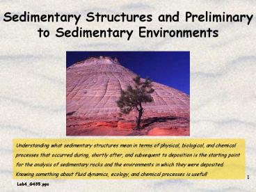 Sedimentary Structures and Preliminary to Sedimentary Environments presentation | free to view