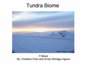 Tundra Biome presentation | free to view