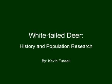 White-tailed Deer: presentation | free to view