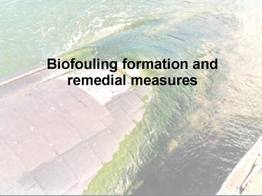 Biofouling formation and remedial measures presentation | free to download