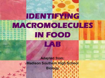 PPT – IDENTIFYING MACROMOLECULES IN FOOD LAB PowerPoint presentation ...