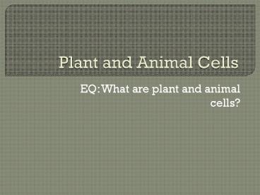 Plant and Animal Cells presentation | free to download