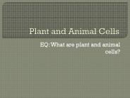PPT – Animal Cells and Plant Cells PowerPoint presentation | free to ...