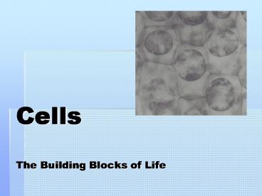 Cells The Building Blocks of Life presentation | free to view
