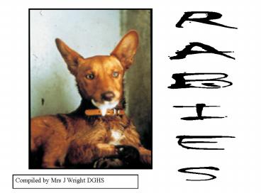 RABIES presentation | free to download