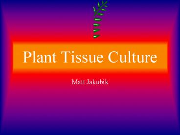 Plant Tissue Culture presentation | free to view