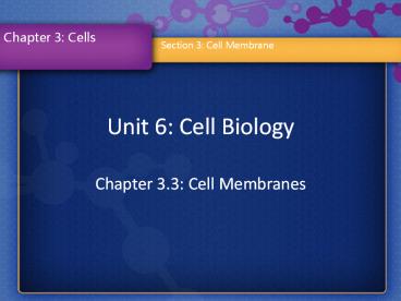 Unit 6: Cell Biology presentation | free to download