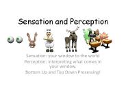 PPT – La Perception PowerPoint presentation | free to download - id ...
