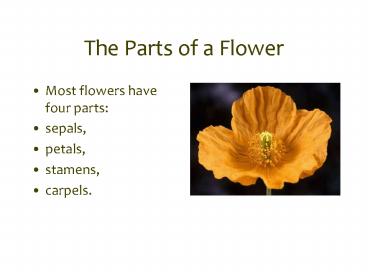 The Parts of a Flower presentation | free to download