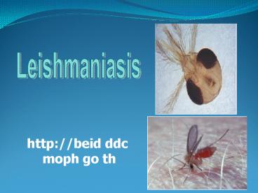Leishmaniasis presentation | free to view