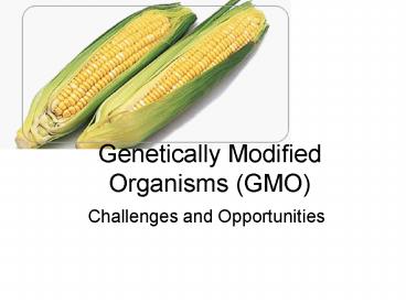 PPT – Genetically Modified Organisms (GMO) PowerPoint presentation ...