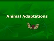 PPT – Animal Adaptations PowerPoint presentation | free to view - id ...
