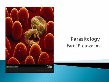 Parasitology presentation | free to download