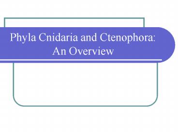 Phyla Cnidaria and Ctenophora: An Overview presentation | free to download