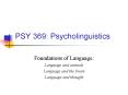 PPT – Psycholinguistics Language and the Brain PowerPoint presentation ...
